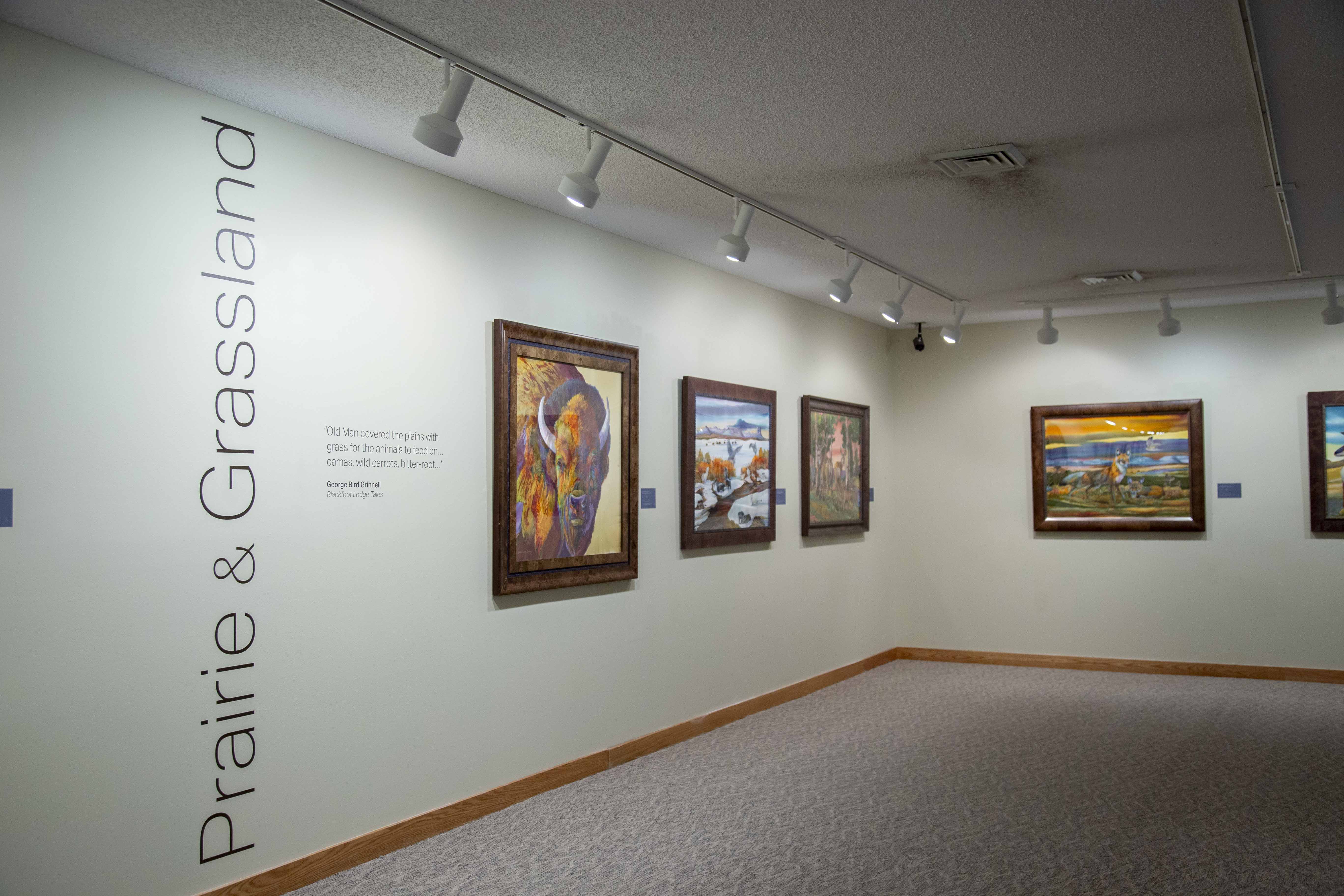 Forever Glacier Collection – Cawdrey Gallery