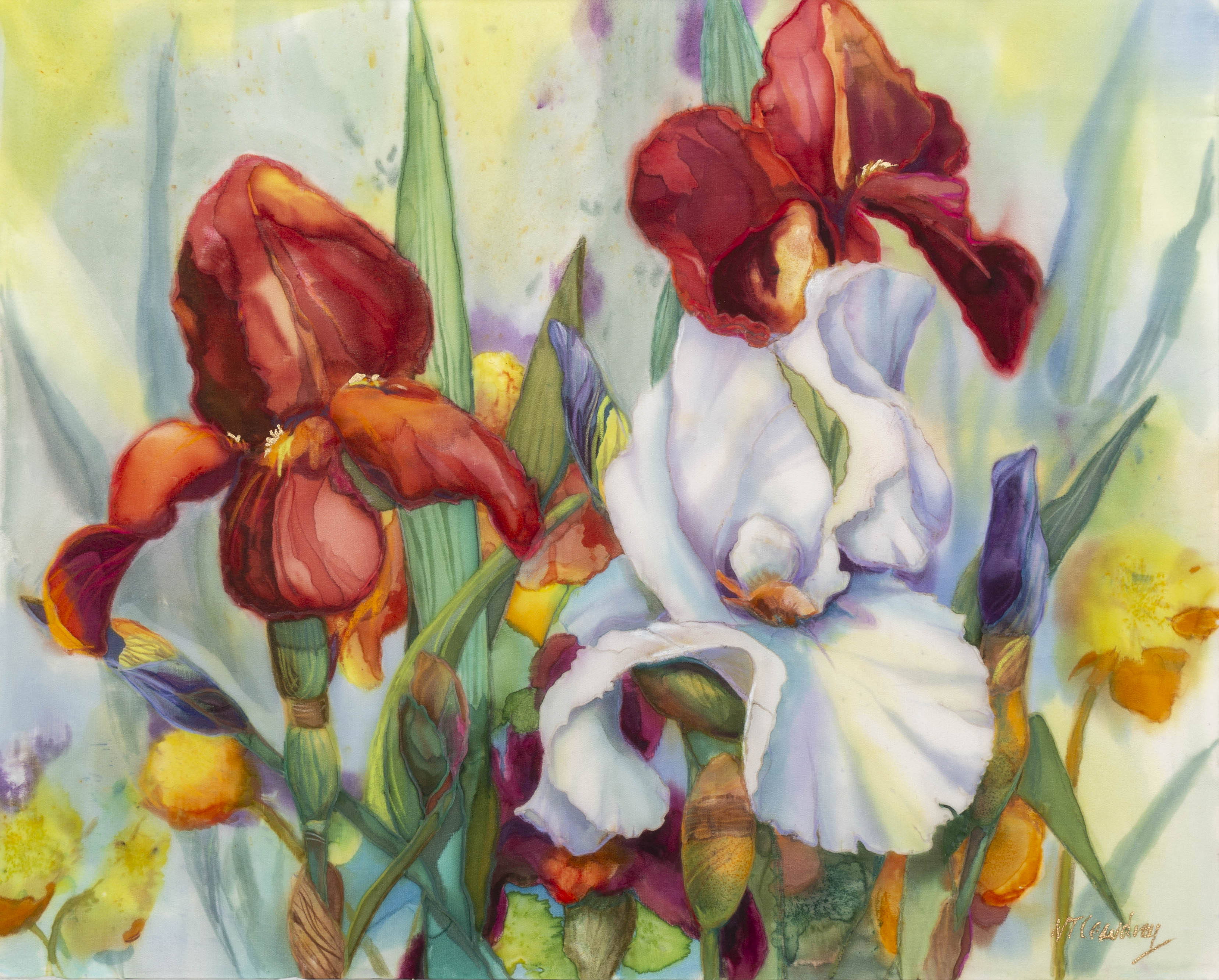 July 4th Iris by Nancy Dunlop Cawdrey – Cawdrey Gallery