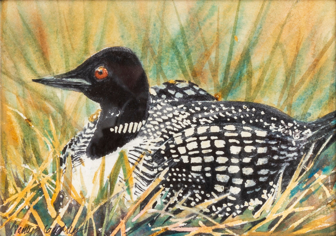 Nested Loon by Nancy Dunlop Cawdrey – Cawdrey Gallery